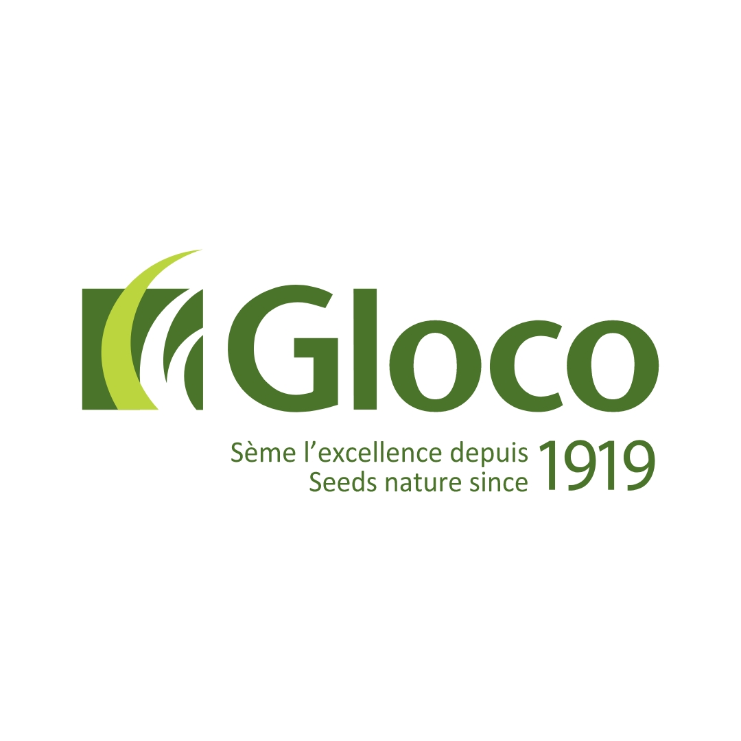 Gloco : matériel graphique | La Slide